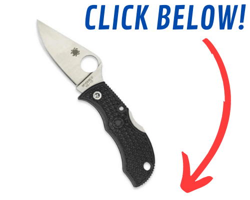 Spyderco Manbug Vs Dragonfly [Which Is The Better Knife For You ...